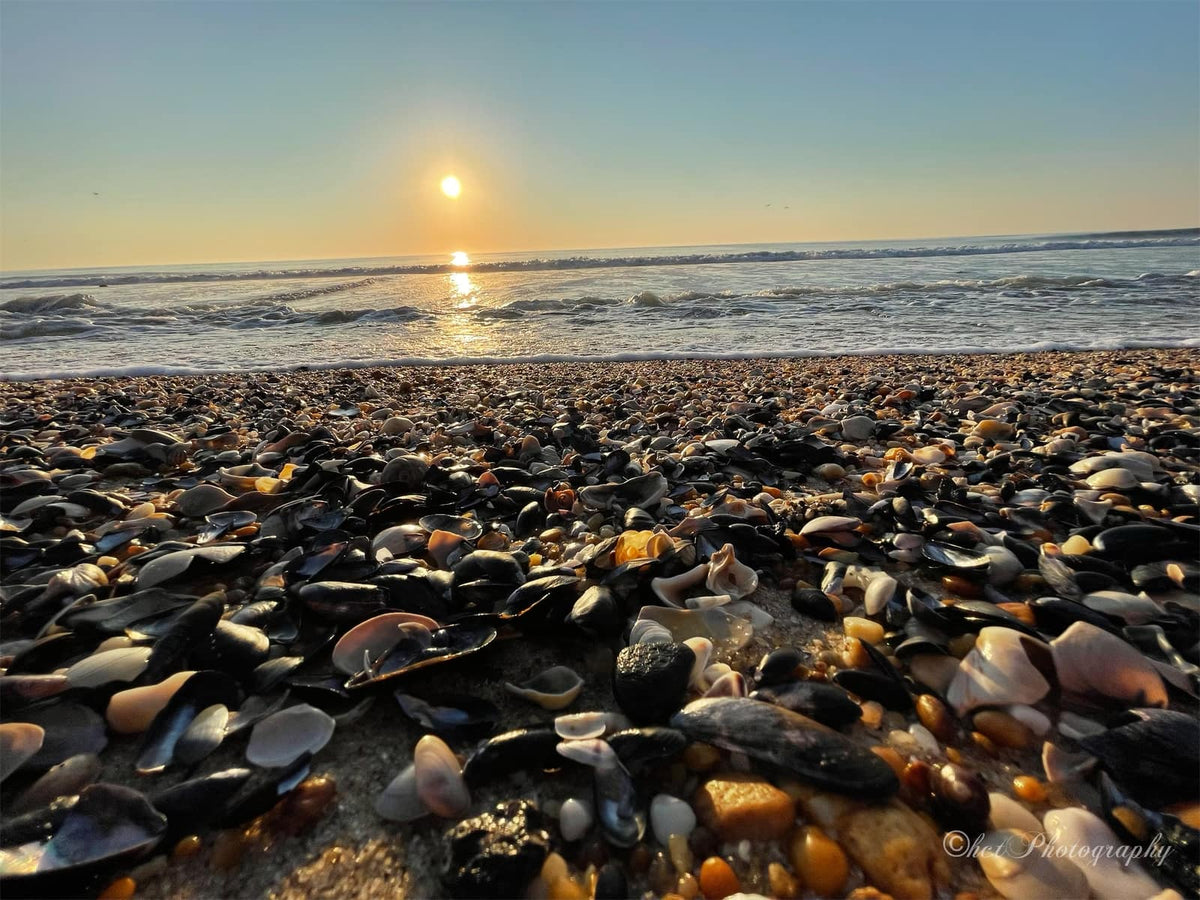 Surf & Sun Shoppe – Surf & Sun Shoppe